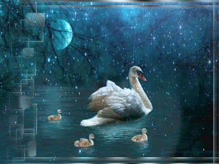 Un blog cu gif-uri: Gifuri rain