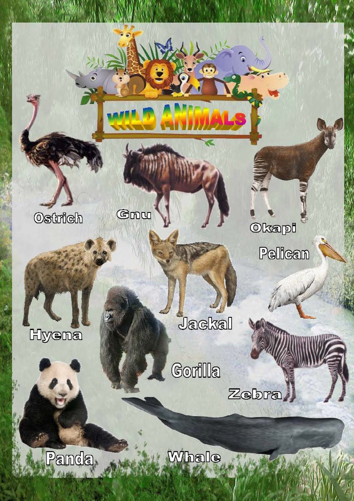 RESOURCES: UNIT 7 WHERE DO ANIMALS LIVE?