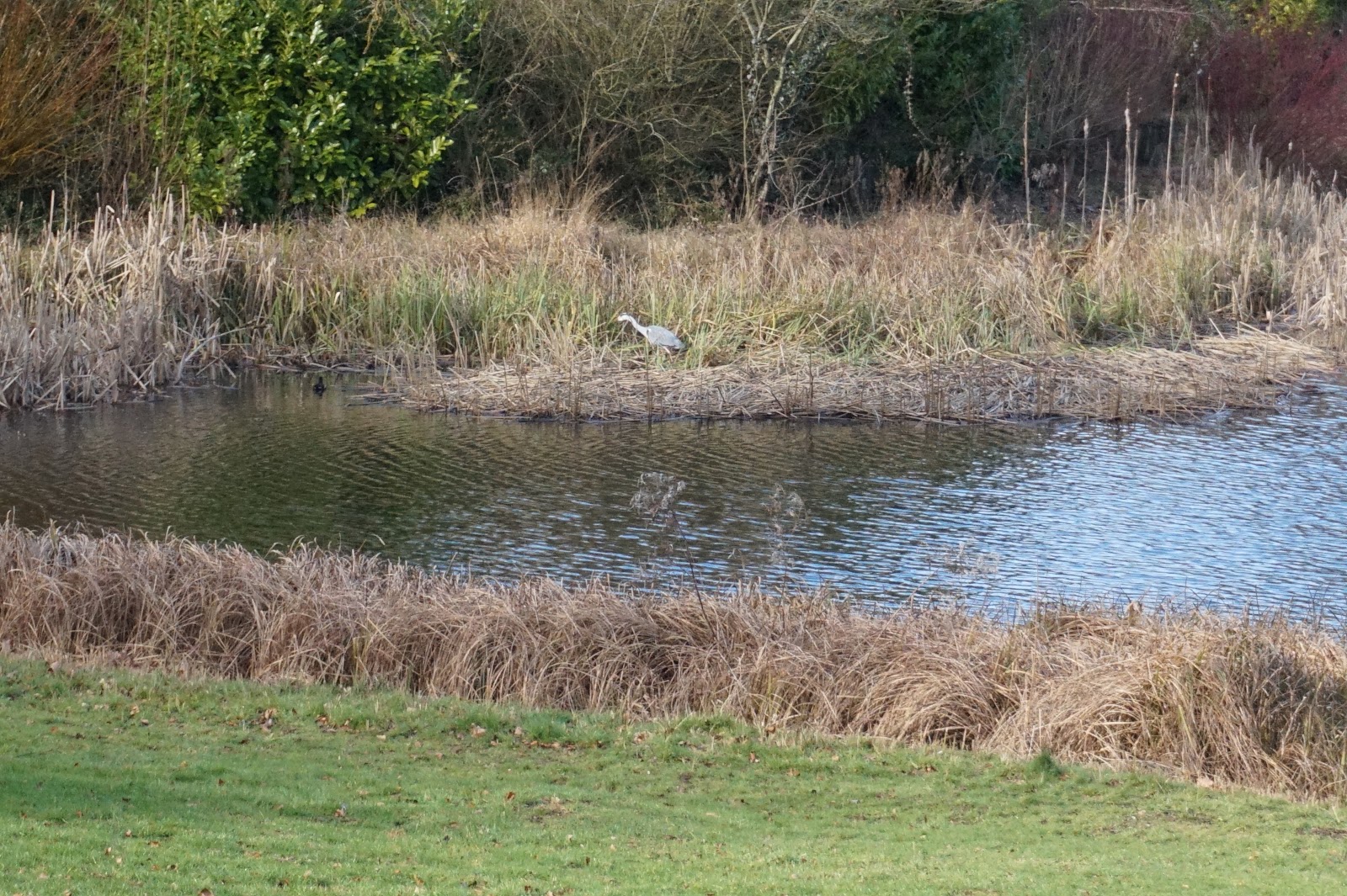 Travel - Spring at Stowe - Nic's Adventures