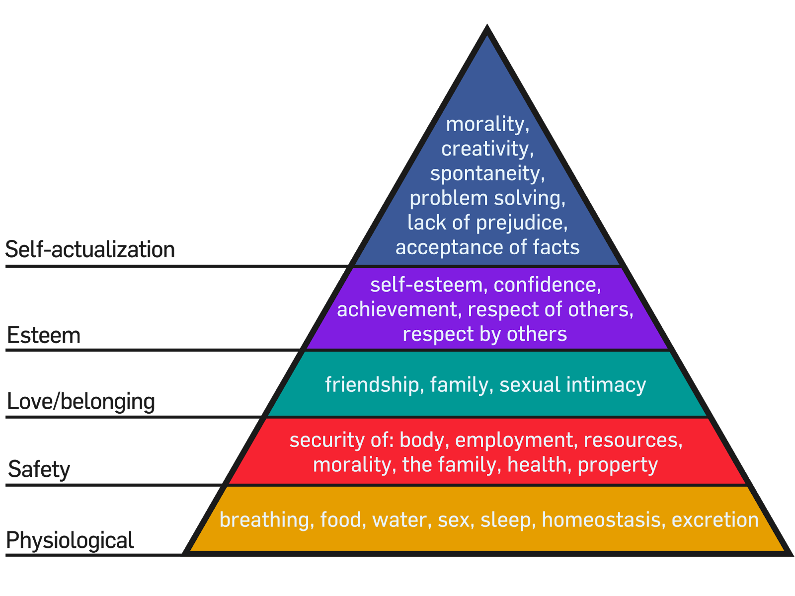 Wiener World Self Actualization Contrasts With Little Joke wiener-world-self-actualization-contrasts-with-little-joke