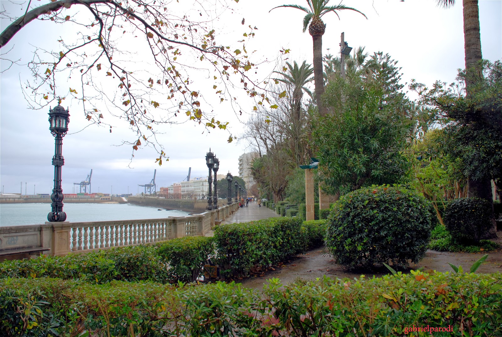 Escápate a Cádiz...: Alameda Apodaca