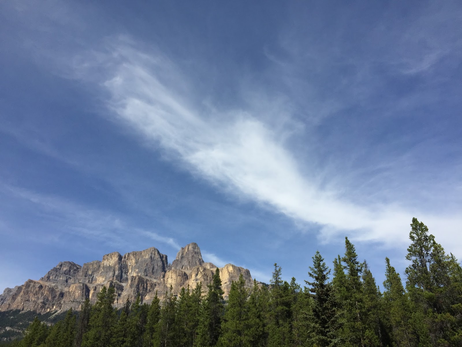 Living the Austinian Dream