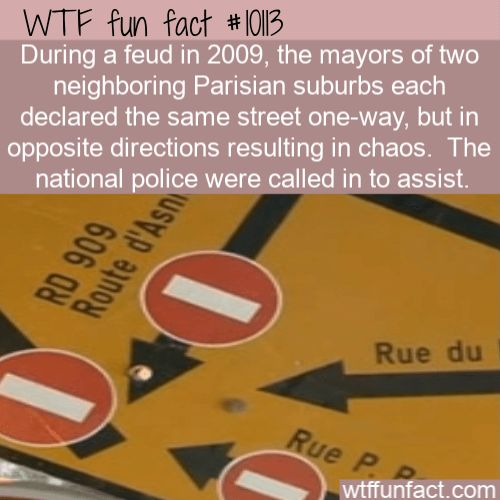 30 Random Trivia WTF Facts That Will Blow Your Mind | Amazing WTF Facts