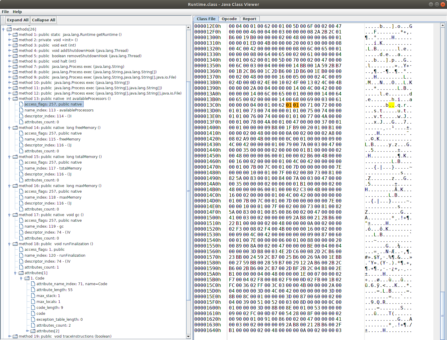 Java Native Methods Essentials, from Binary code point of view, with ...