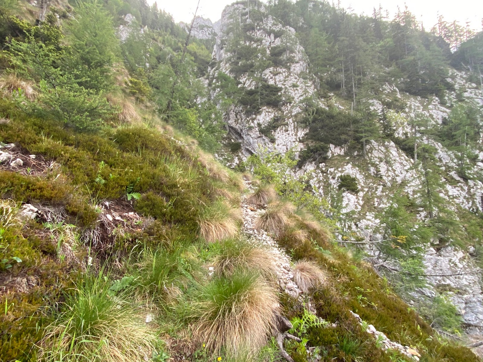 Modrina neba...: Utrinki: Na Planjavo po grapi Za Vratam