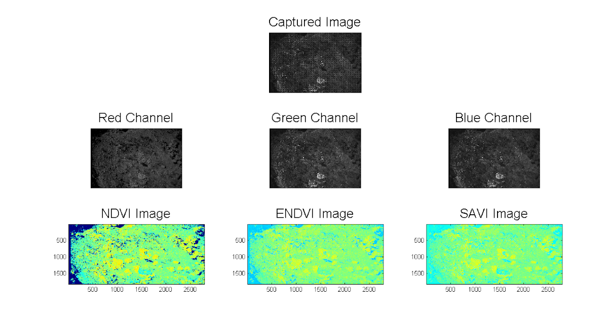MuonRay: Standard Environmental Drone Monitoring Techniques: NDVI ...