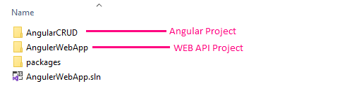 Angular 11 CRUD Example with Web API | Codingvila
