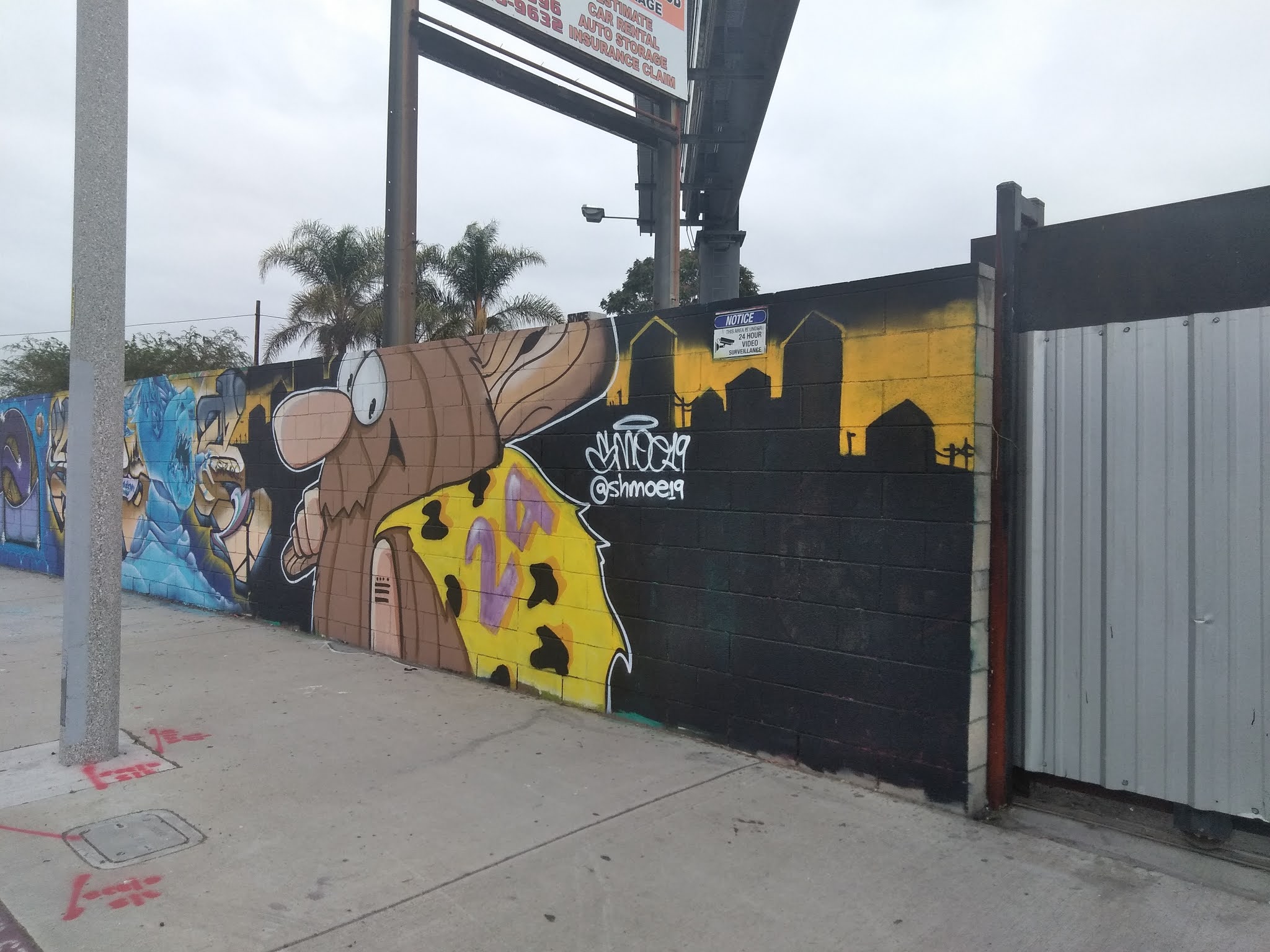 graffiti , murals & tagging : Florence Graham ( street murals )