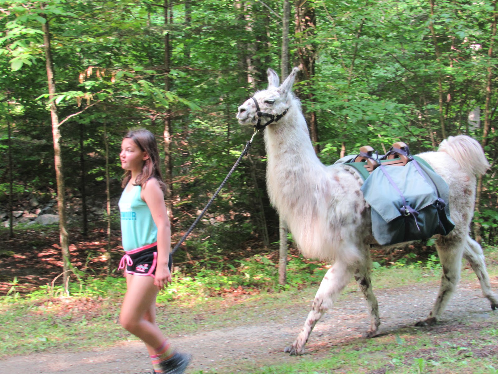 Family Peak Seekers: Looking for a different type of family hike? Bring ...