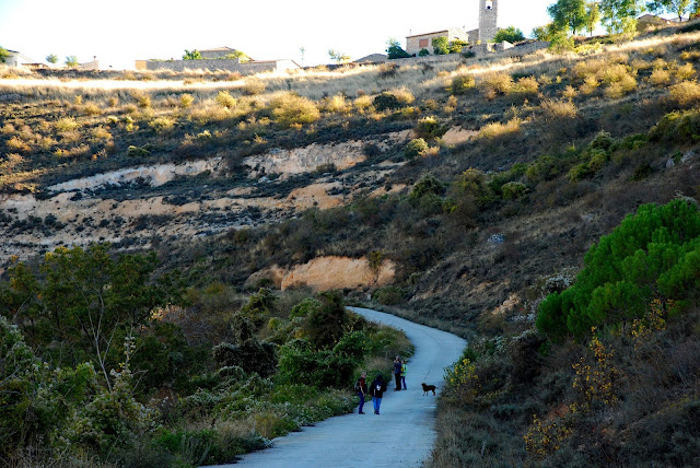 Grupo de Caminantes: Argecilla a Almadrones 30 de octubre de 2016