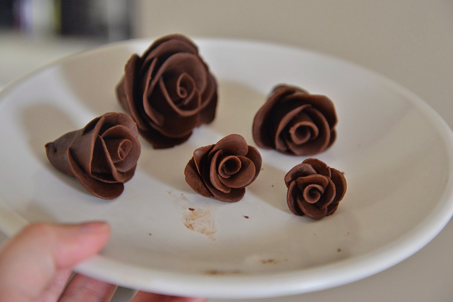 A school of fish: Chocolate Modeling Clay; Chocolate Roses