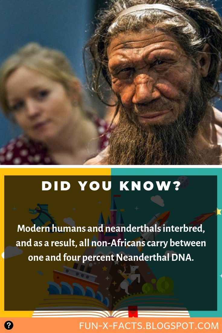 Modern humans and neanderthals interbred, and as a result, all non ...
