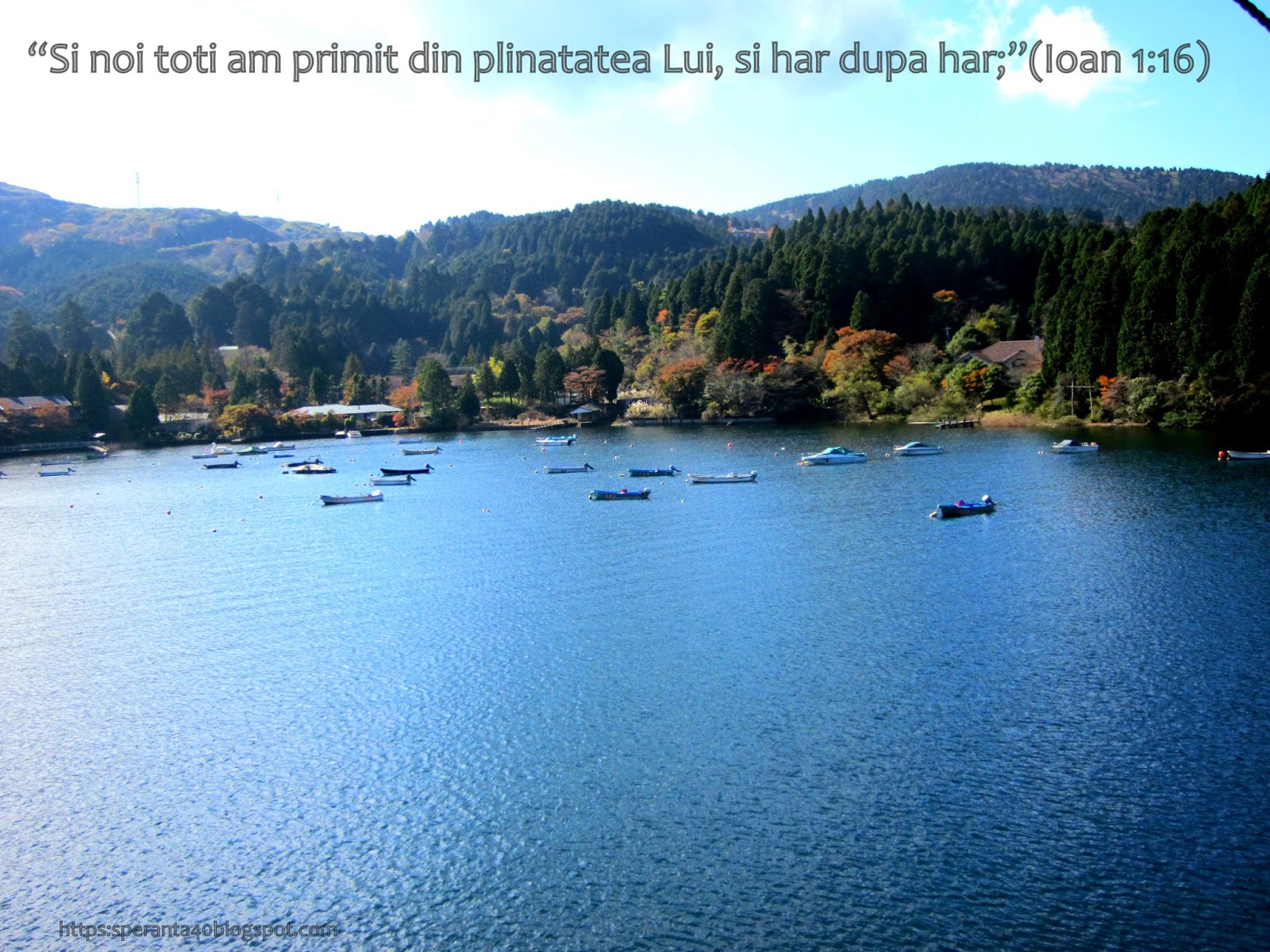 Speranta: SALCIA PITICA SI SECRETUL SUPRAVIETUIRII