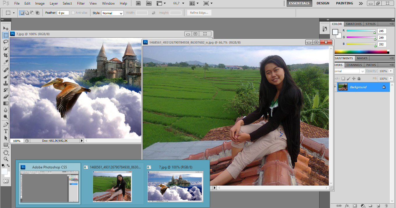 Oplosan Blog How To Combine Two Images With Photoshop oplosan-blog-how-to-combine-two-images-with-photoshop