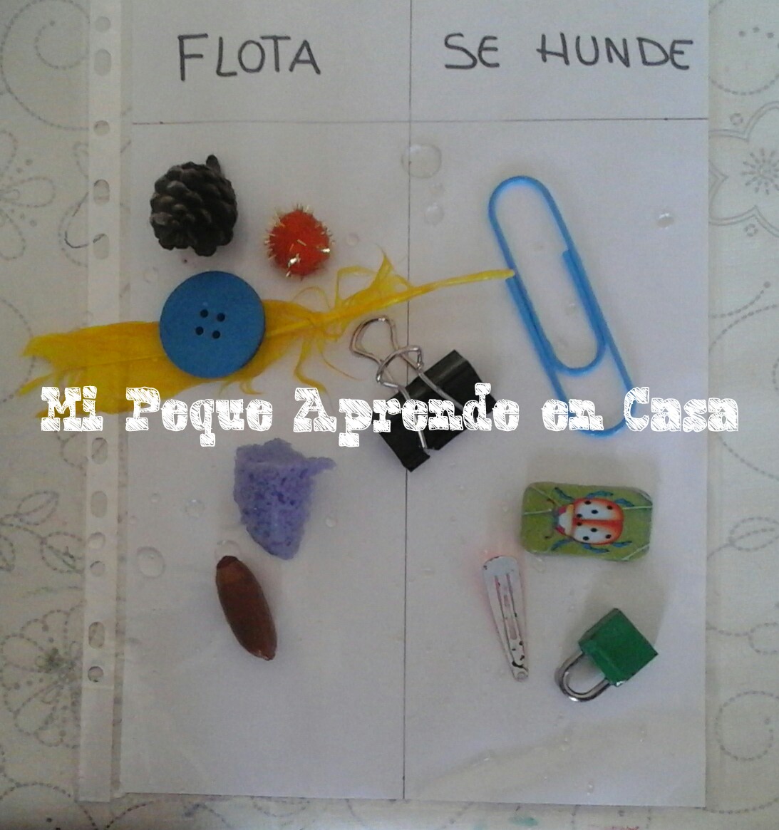 Mi Peque Aprende en Casa: Flota / Se Hunde