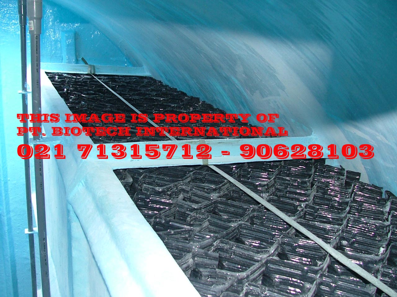 septic tank bio/ bio septic tank/ septic tank biotech: STP Biotech