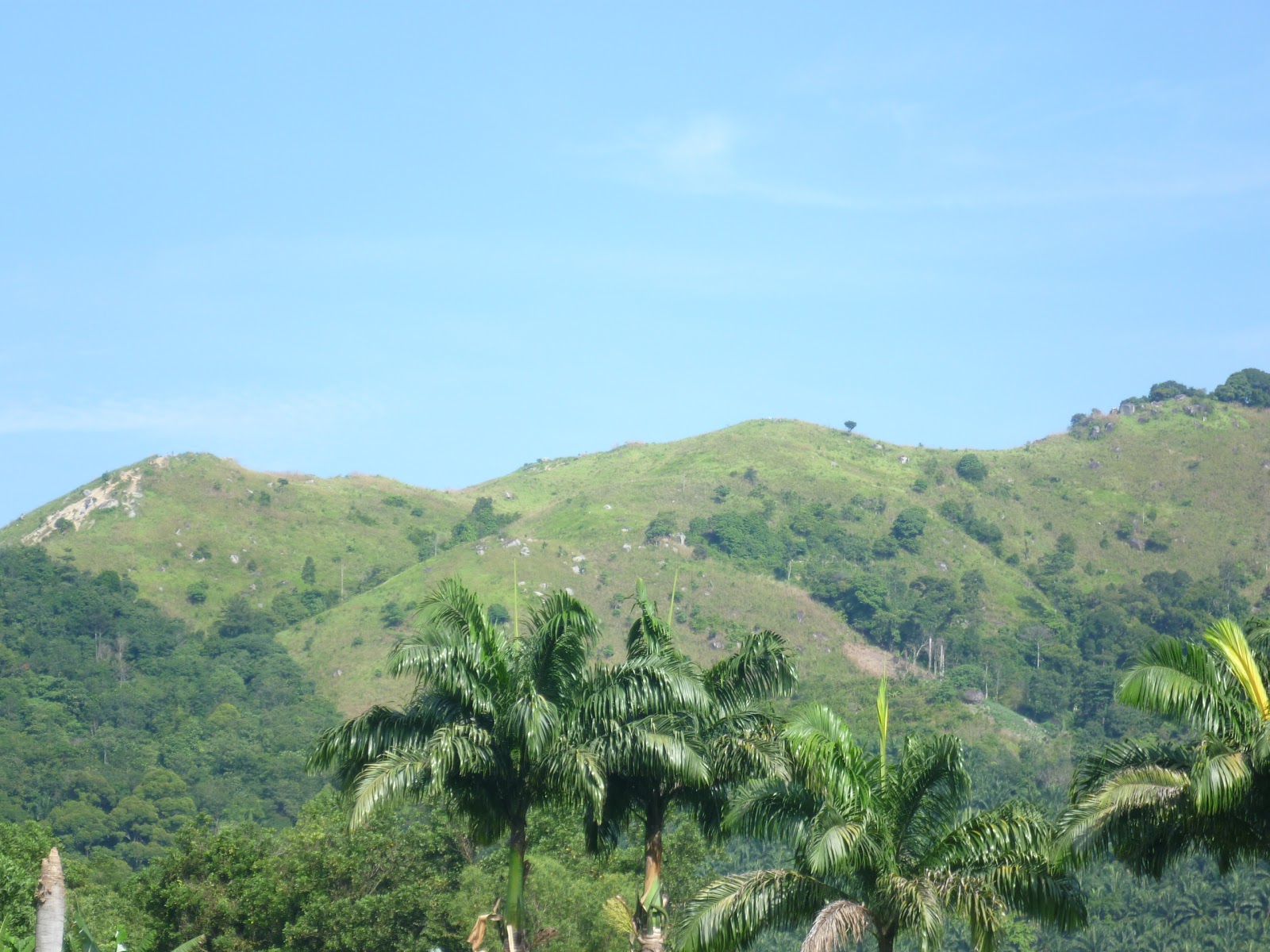 PENA CELORENG: Bukit Broga