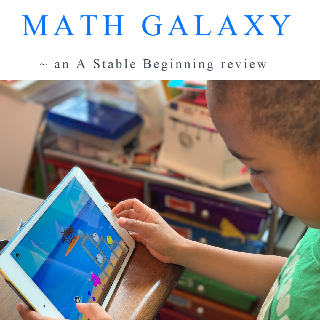 A Stable Beginning: Homeschool Math Games from Math Galaxy ~ a TOS review