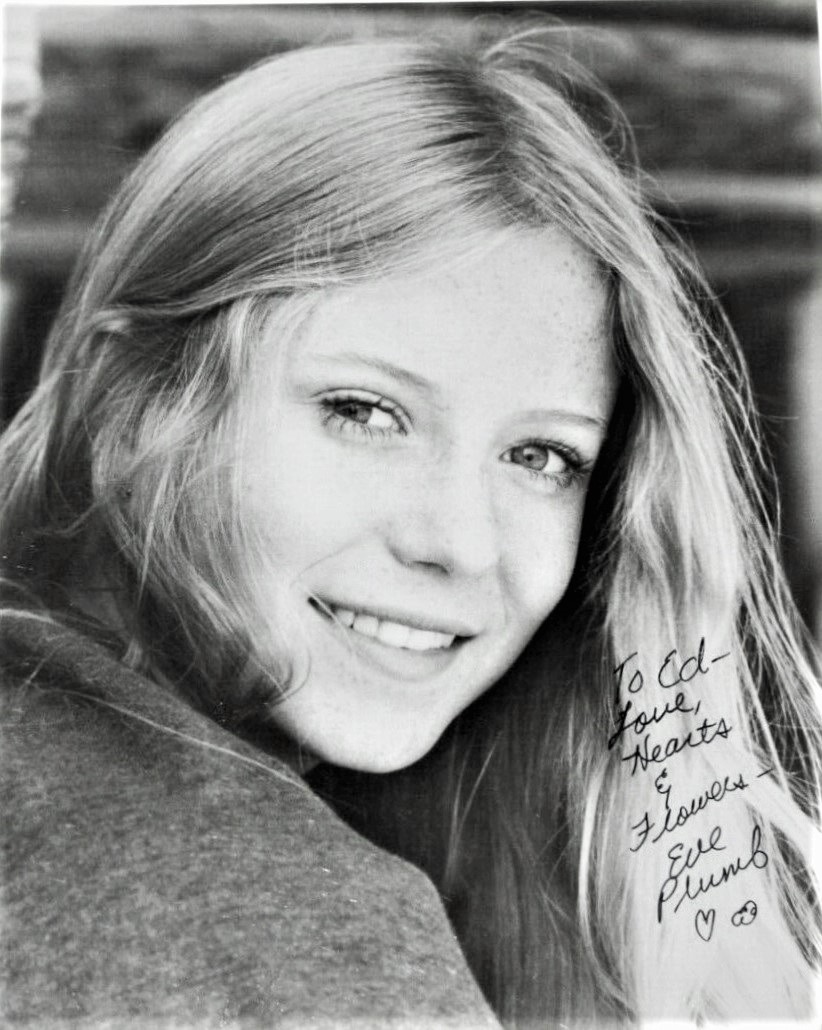 The Brady Bunch Blog