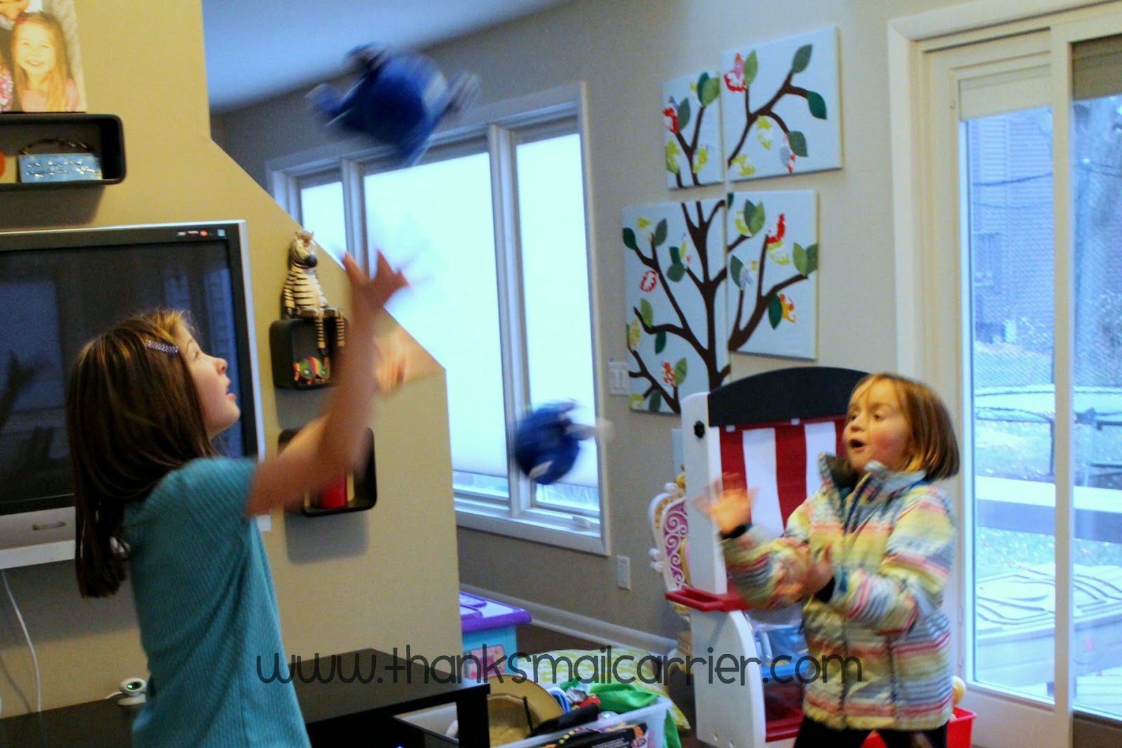 Thanks, Mail Carrier | As Seen On TV: Ball Pets are Fun Plush Balls ...