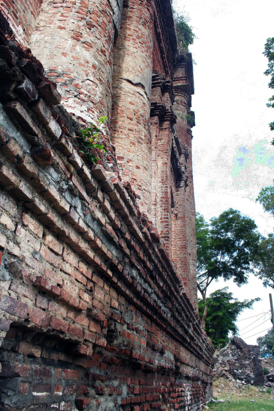 Naturalist's World - Dr Abe V Rotor : Bacarra Tower in photos and verses