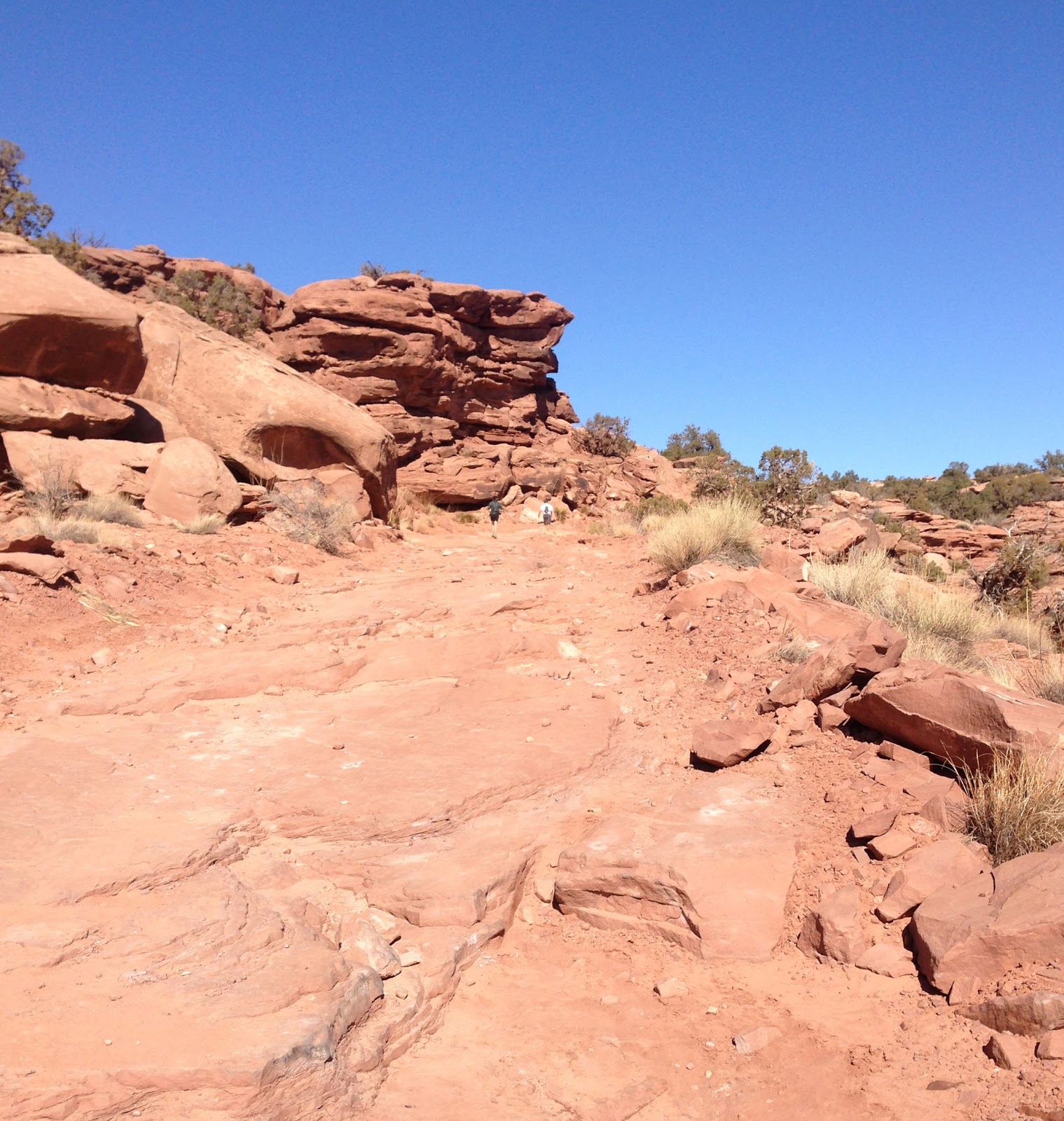 Tales of the Running Hophead: 2013 Moab Red Hot 55K by Ryan Martin