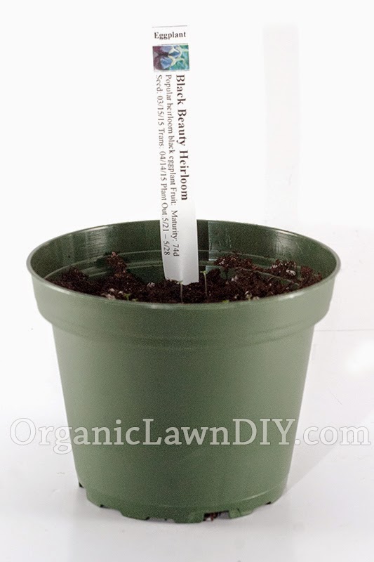 DIY Printed Plant Labels