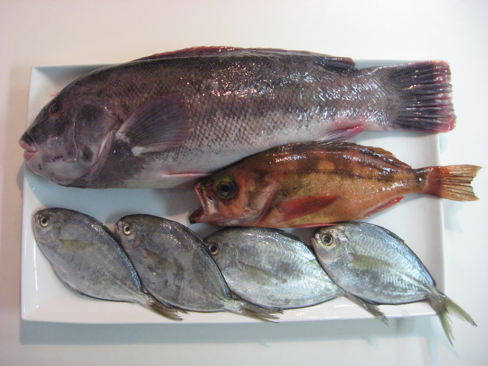 66 SOUTH 2ND STREET BROOKLYN NY: September 2011