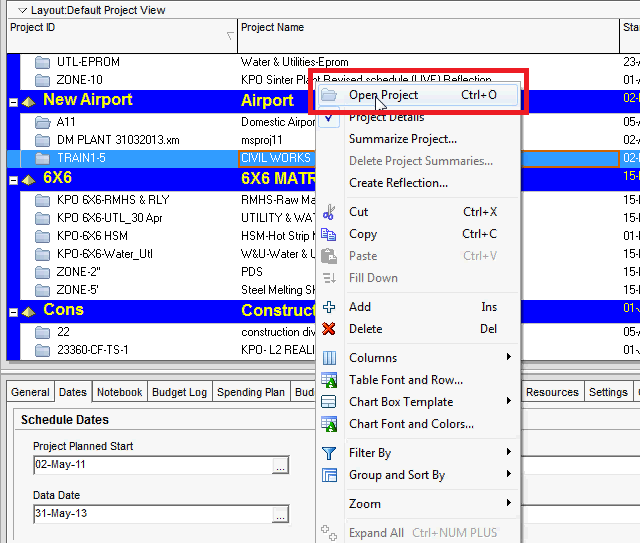 Export Schedule from Primavera P6 to Excel