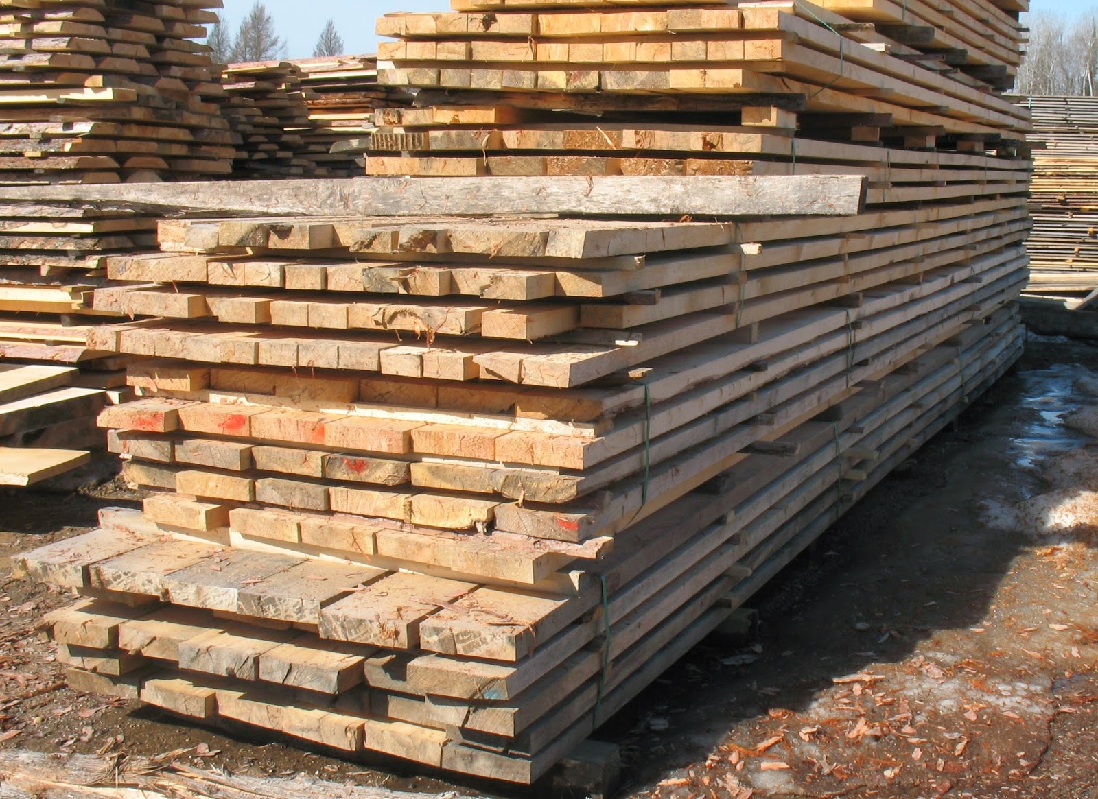 Wille Logging Lumber & Timber: Long Lengths Lumber