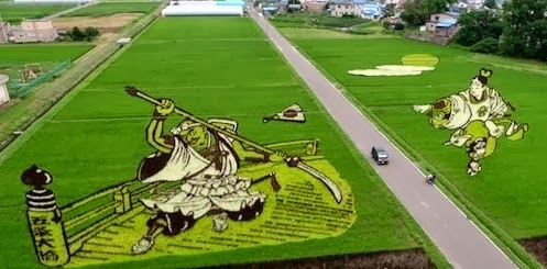 Mrs. B's Family Stories, Then and Now: Rice Paddy Art