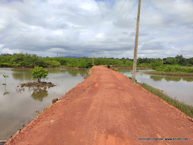Pavinakurva Suspension Bridge, Honnavar - eNidhi India Travel Blog