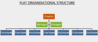 Leadership: Tan Min Liang: Organizational Structure