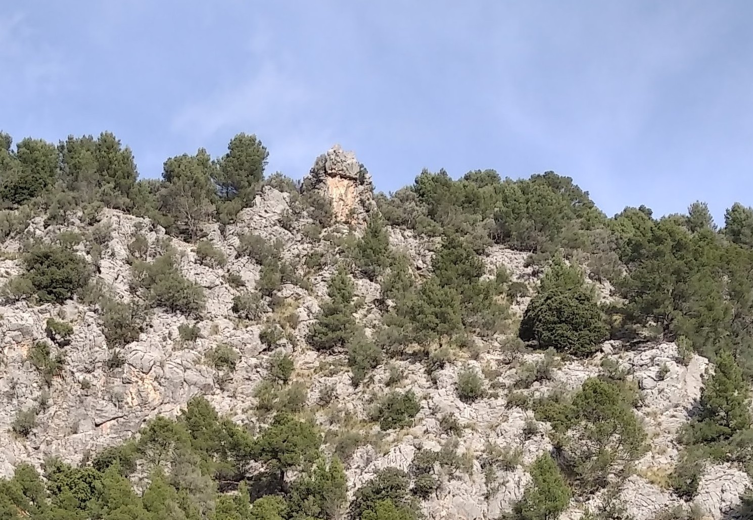 SACOT, pas des; (Fornalutx) | Passos de l'Illa de Mallorca