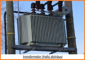 Apa itu Transformator (Trafo) Distribusi: Konstruksi dan Jenisnya ...
