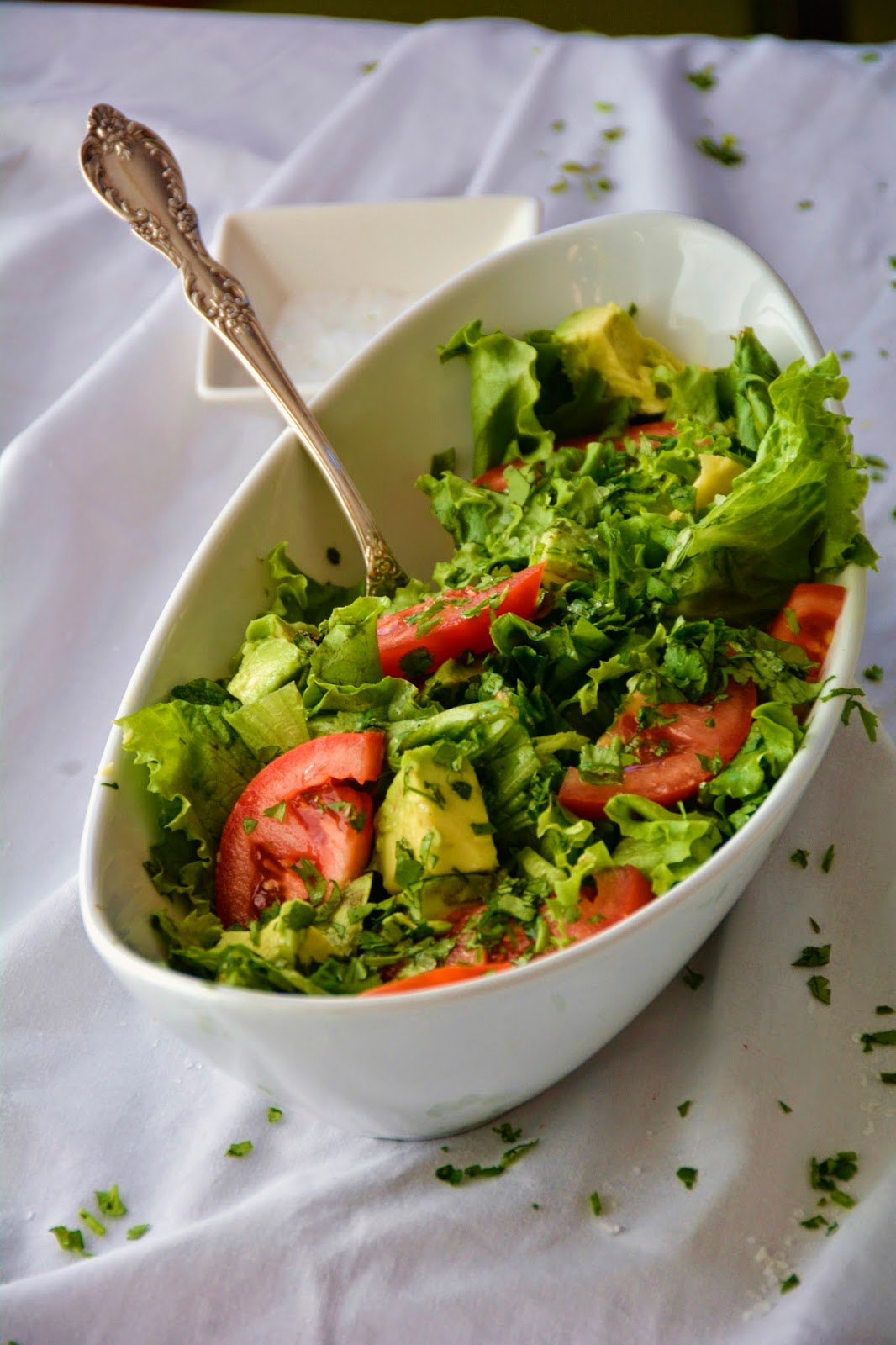Plentiful Plate : Cilantro, Avocado And Tomato Salad