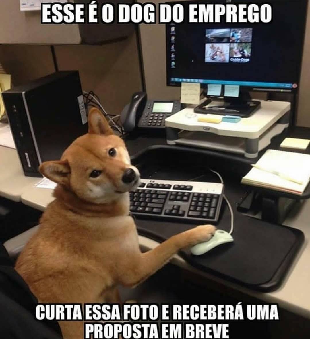 10 FOTOS ENGRAÇADAS