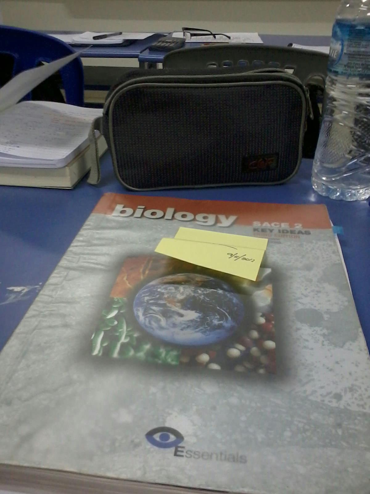 B.IV: AUSMAT in INTEC