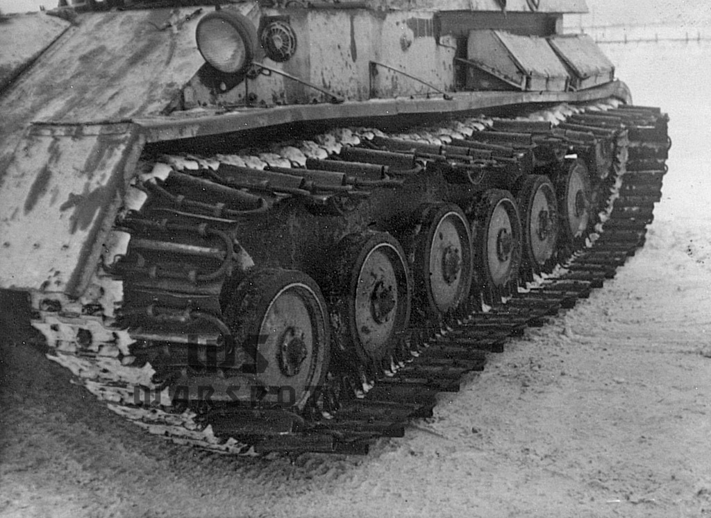 Tank Archives: Snow "Shoes"