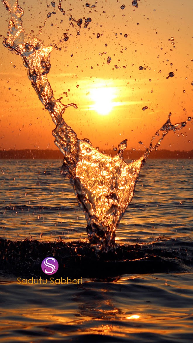 Wallpaper Handphone Daun