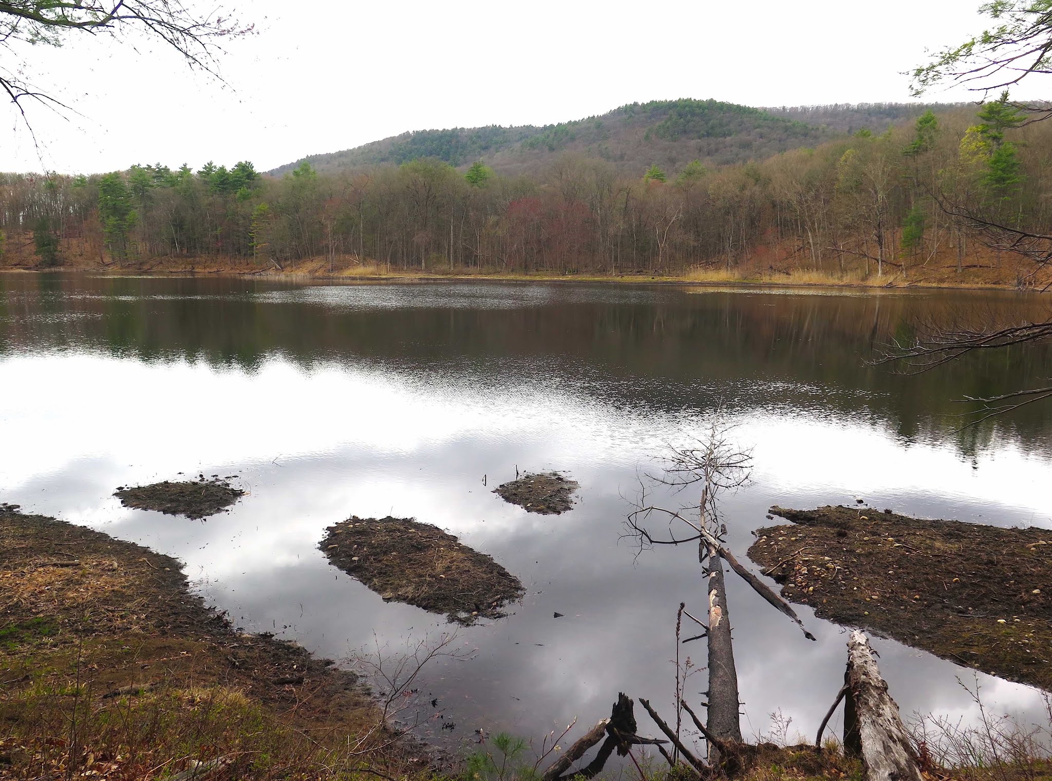 Saratoga woods and waterways: Mud Pond Meander