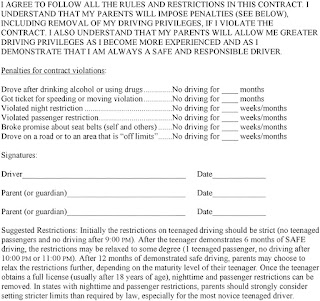 essay examples: Drunk Driving Essay