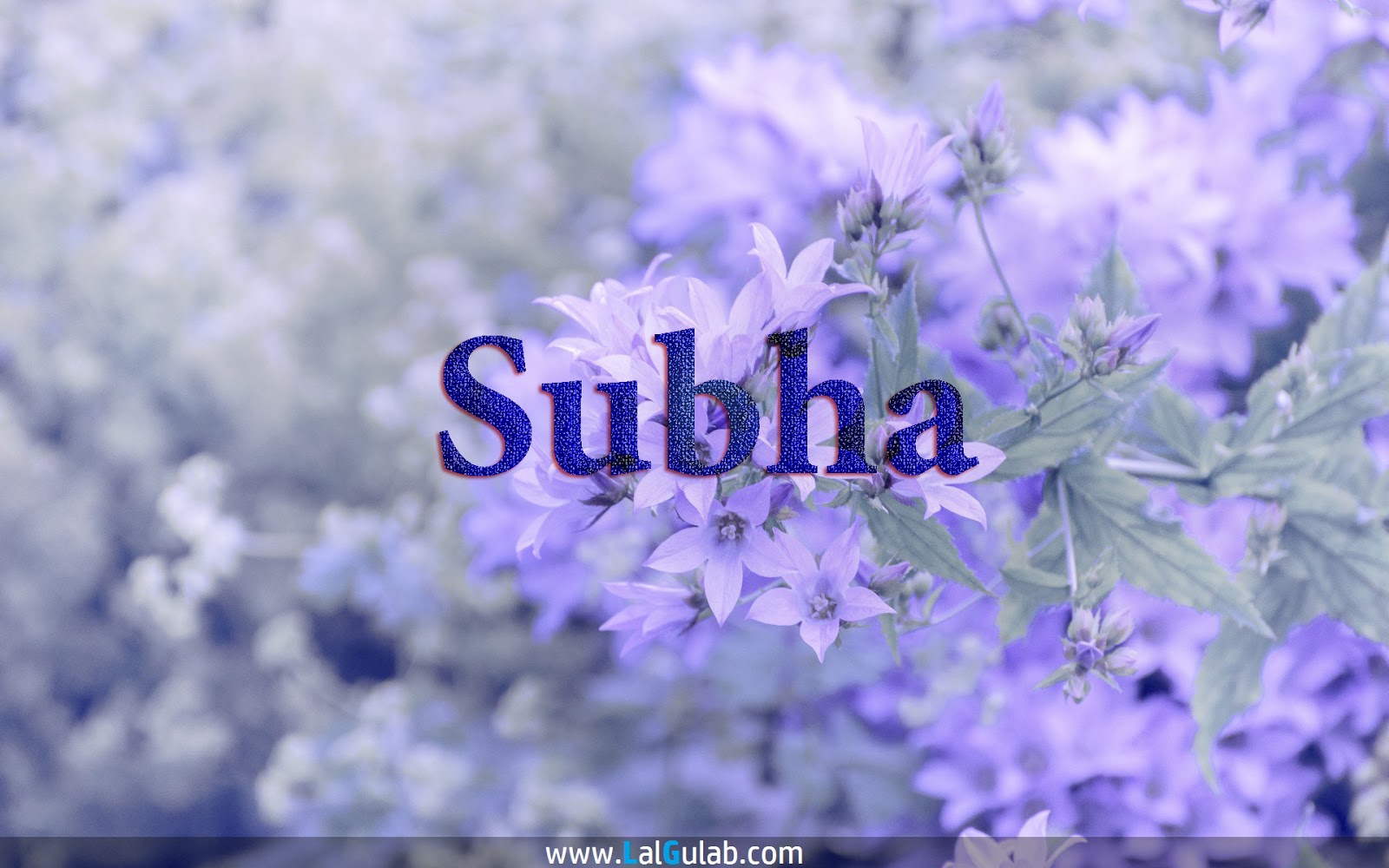 Subha Name Wallpapers Subha ~ Name Wallpaper Urdu Name Meaning Name ...