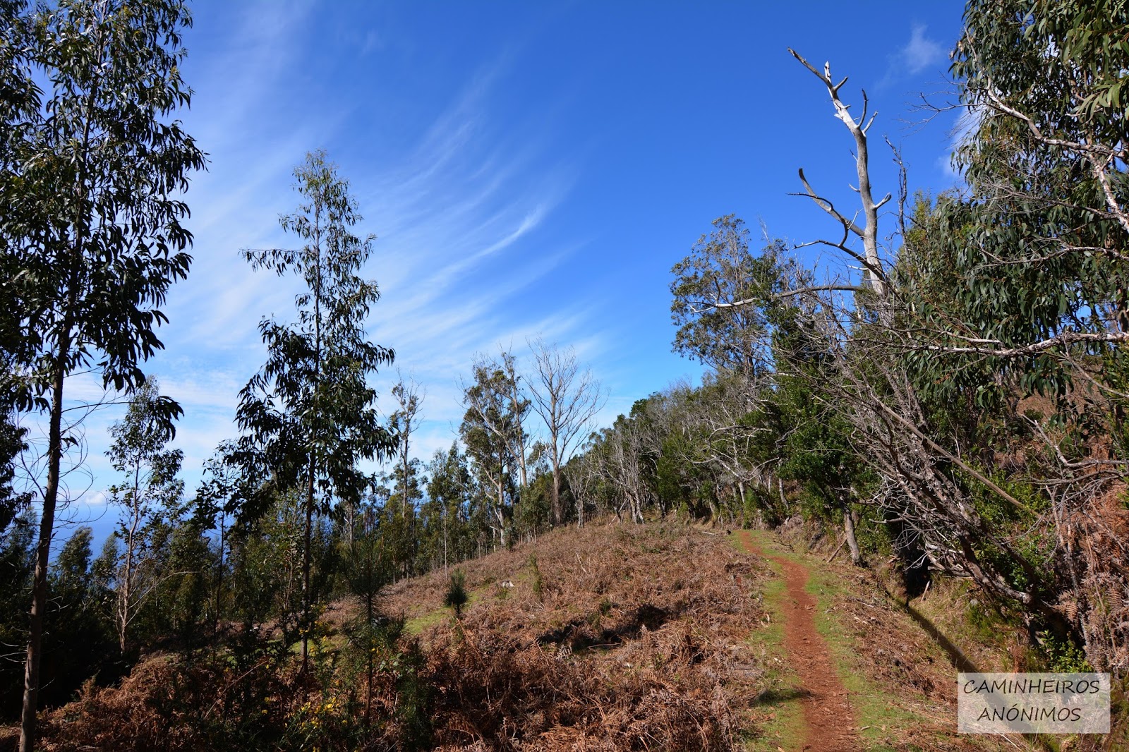 Caminheiros Anónimos Levadas da Madeira : Levada Grande (Achadas da Cruz)