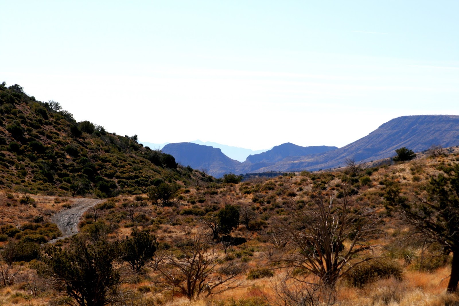 430 Breezy Lane: February 2018