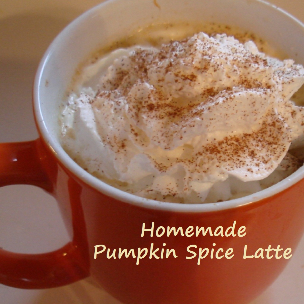 Sunshine Maker Meg: Frugal Fridays - Homemade Pumpkin Spice Latte