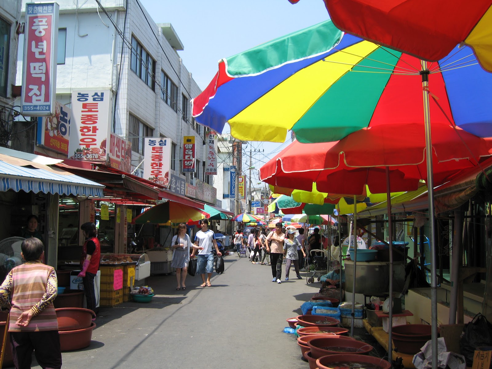 A Trip to Korea and Back: A Day in Dangjin