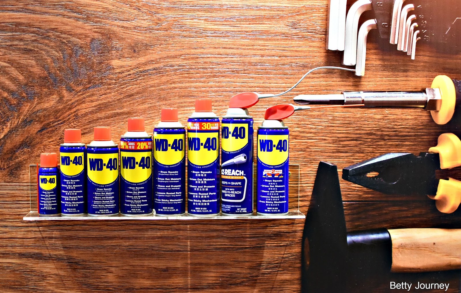 Betty's Journey: WD - 40 ® Is Expanding Its Footprint In Southeast Asia!