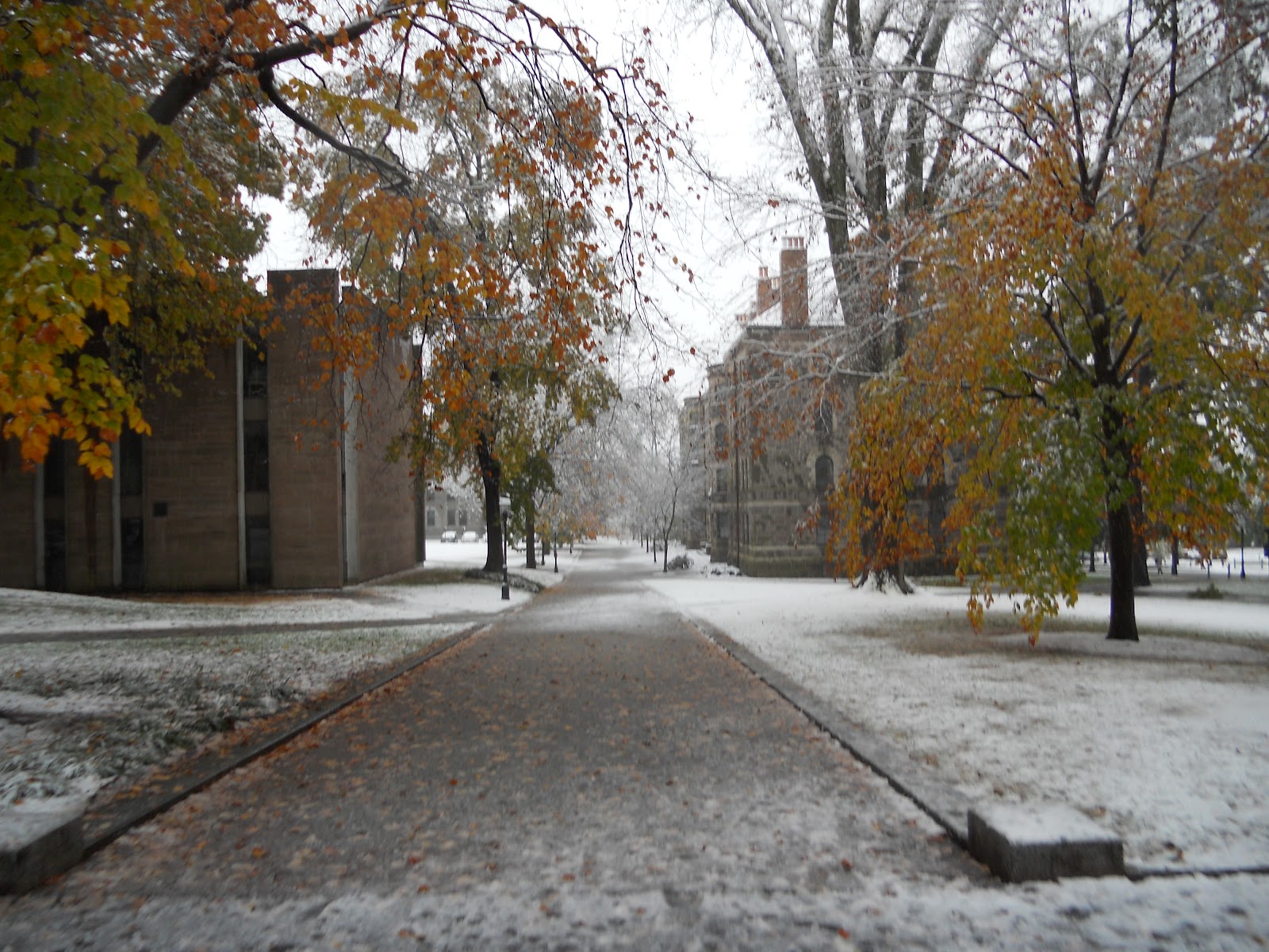 Nature Photography: First Snow at Princeton