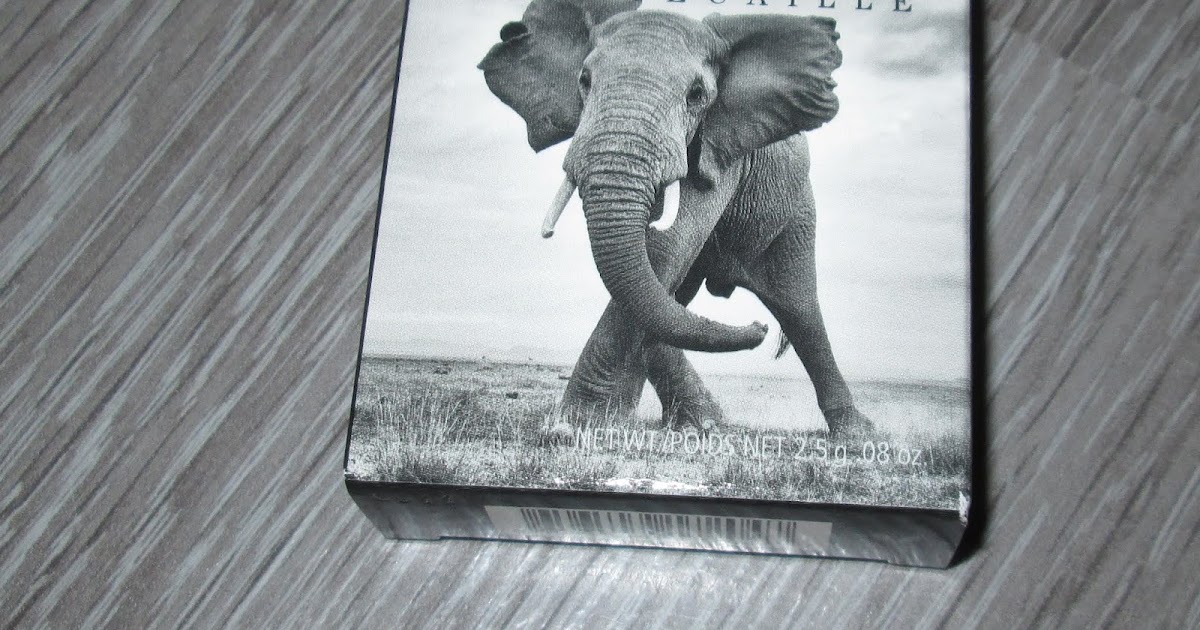 [Review] Chantecaille Luminiscent Eye Shade in Elephant